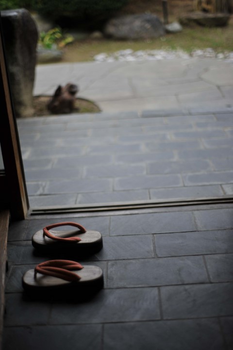 BASHI CAMERA | 出張撮影・新古カメラレンズの販売・アウトレット写真用品販売